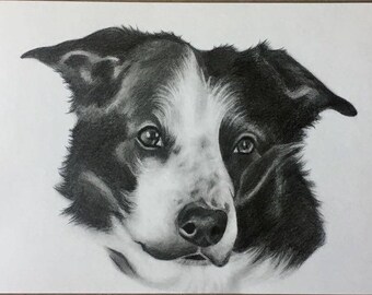 Custom pet drawing | Etsy