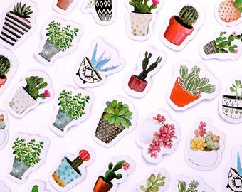 Cactus stickers | Etsy
