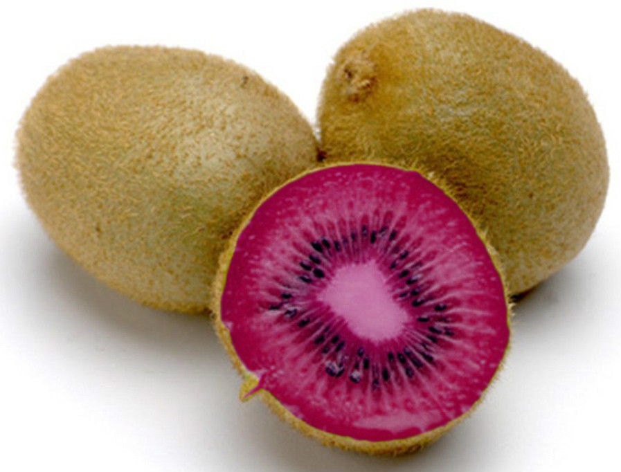 Kiwi Seeds PINK LADY Great Houseplant Rare Tropical