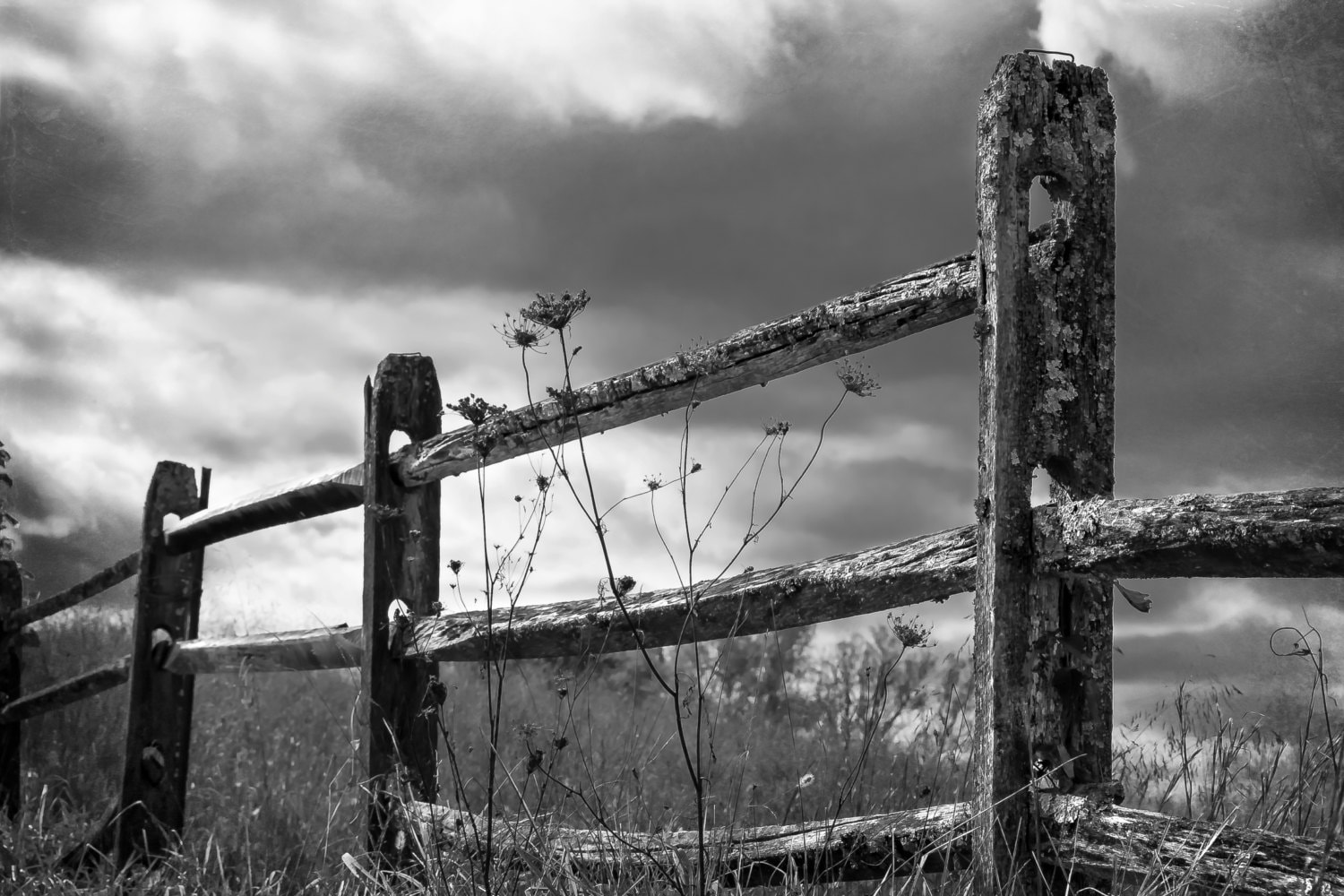 Country Fence Photography Black And White Photography Home