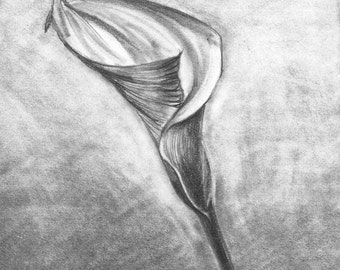 Pencil drawing print Growing Into Hope Day 199