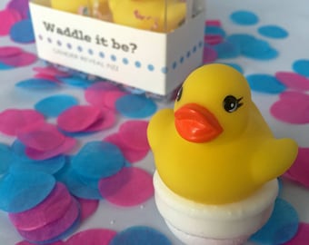 Duck gender reveal | Etsy