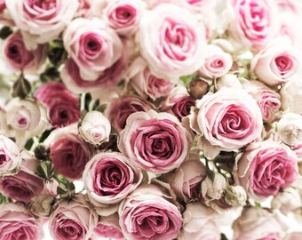 Paris Photograph Pale Roses in Paris Flower Market French