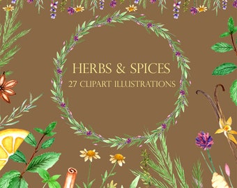 Herb clipart | Etsy