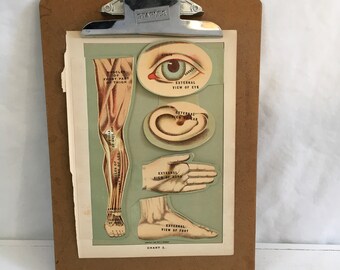 Vintage eye chart | Etsy