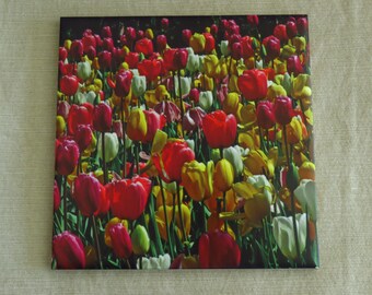 Ceramic tile trivet | Etsy