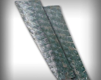 Tarpon scales | Etsy