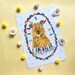 Camembear Illustration Bear illustration Cheese