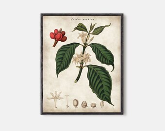 Coffee wall art | Etsy