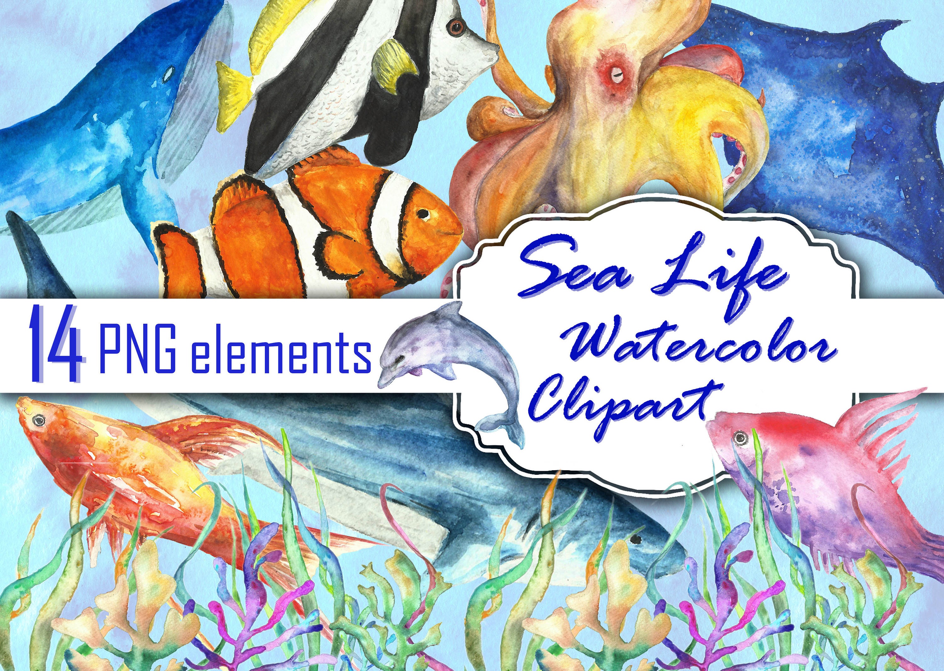 Sea life watercolor clipart fish clip art watercolor. Ocean