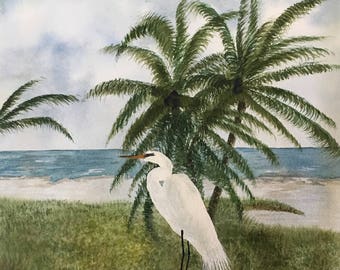 Florida bird art | Etsy