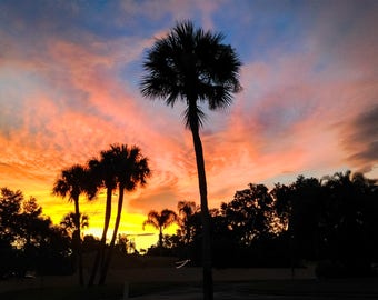 Palm tree sunset | Etsy