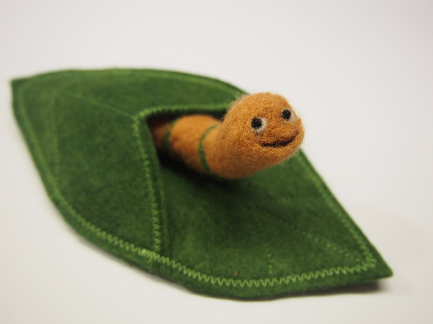 My Friend Worm Needle Felted Worm and Wool Felt Leaf Pouch