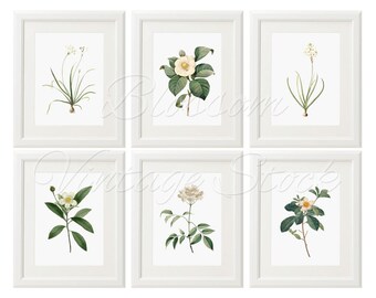 White flower wall | Etsy