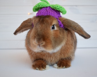 Pet rabbit clothing | Etsy