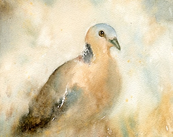 Dove painting | Etsy