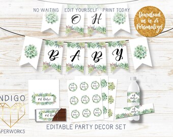 Succulent decor | Etsy