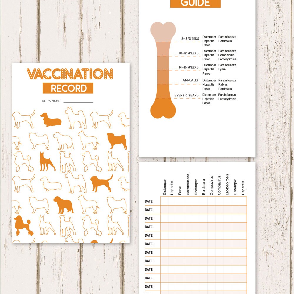 Canine Health Record Printable