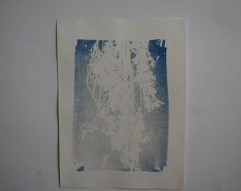 Cyanotype print | Etsy