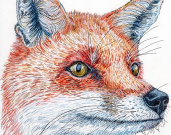 Fox Print Running Fox Pen and Ink illustration 8x11