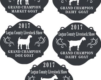 Dairy cow heifer. Personalized livestock show award