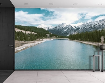 Removable wall mural | Etsy