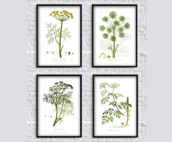 Plant poster leaves print wall art print home decor vintage