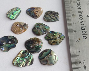 Abalone buttons | Etsy
