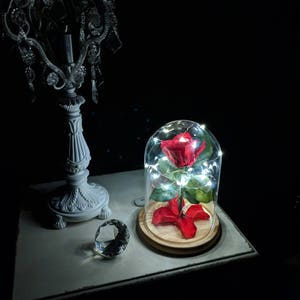 Enchanted rose | Etsy