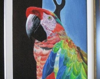 Parrot painting | Etsy