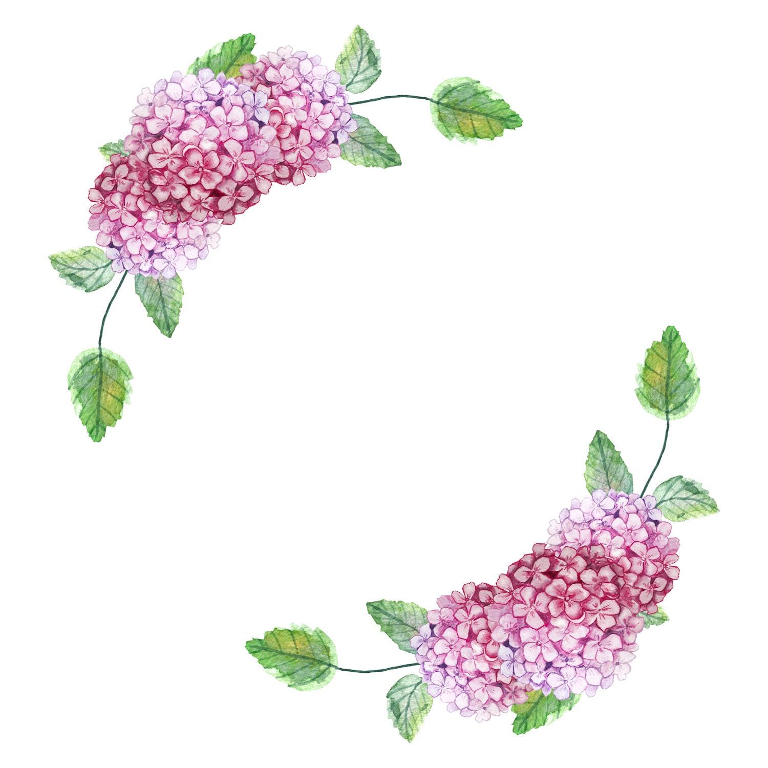 Hydrangea Clipart, Wreat Clipart, Watercolor Clipart, Watercolor Wreath ...