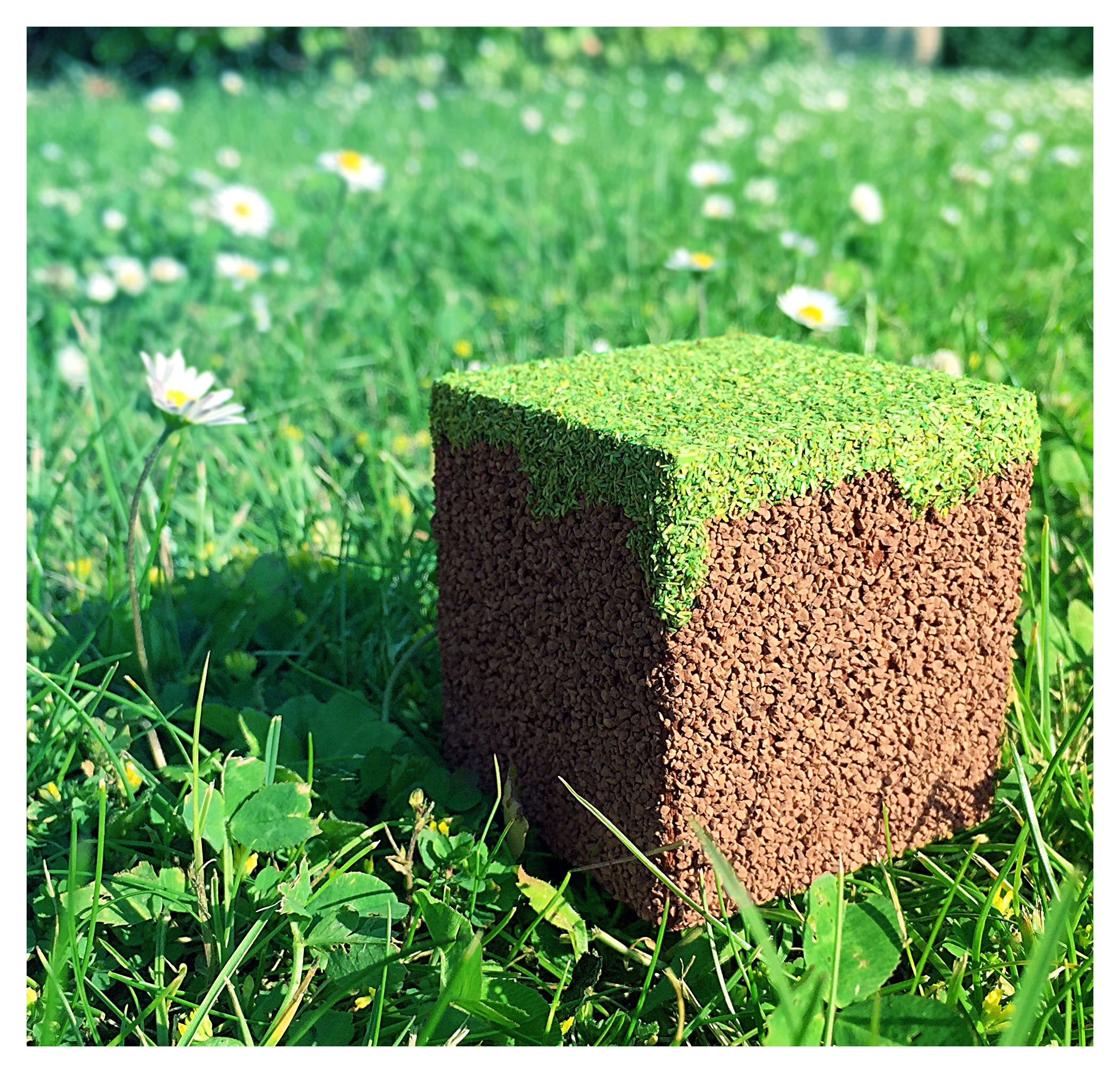 Minecraft Inspired Realistic Grass Block