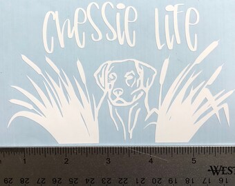 Chesapeake bay | Etsy