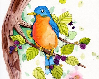 Bluebird print | Etsy