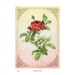 Antique Red Rose Digital Collage Sheet Instant Download