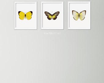 Butterfly print | Etsy