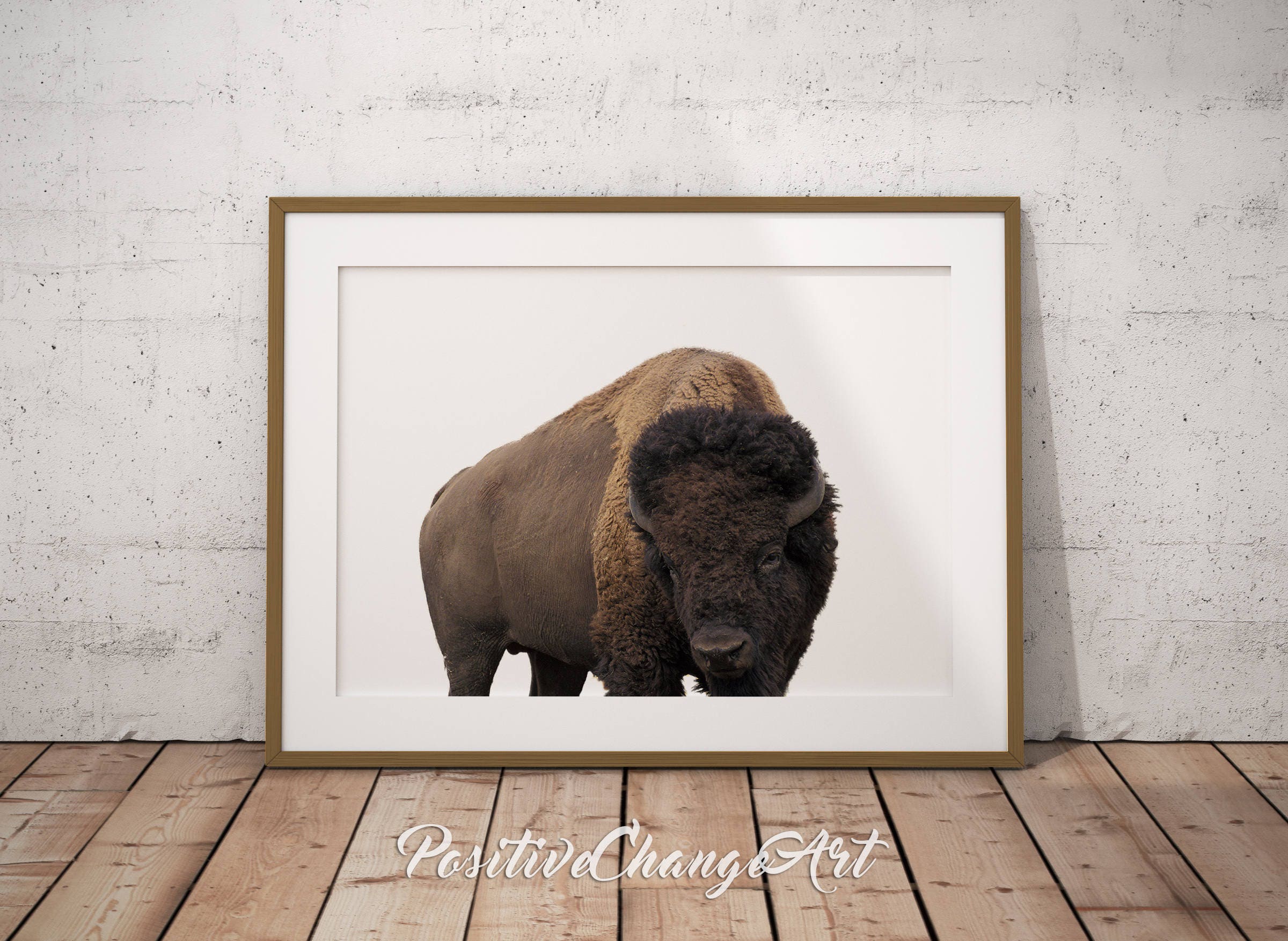 Buffalo Print Buffalo Art Print Bison Art Bison Print