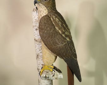 Hawk sculpture | Etsy