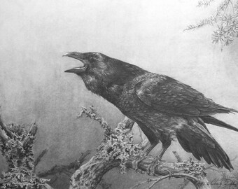 Raven drawing | Etsy