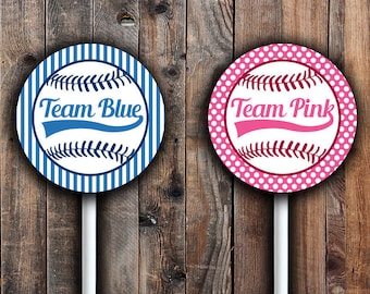 Team Pink Team Blue Photo Booth Props Gender Reveal Baby