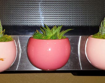 Magnetic planter | Etsy