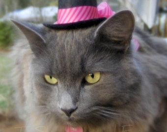 Cat Hat Elegant Mini Hat Spring Cat Hat Spring Bonnet
