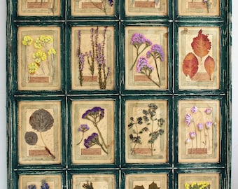 Pressed flower art | Etsy