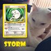 your Pet as a Pokemon card