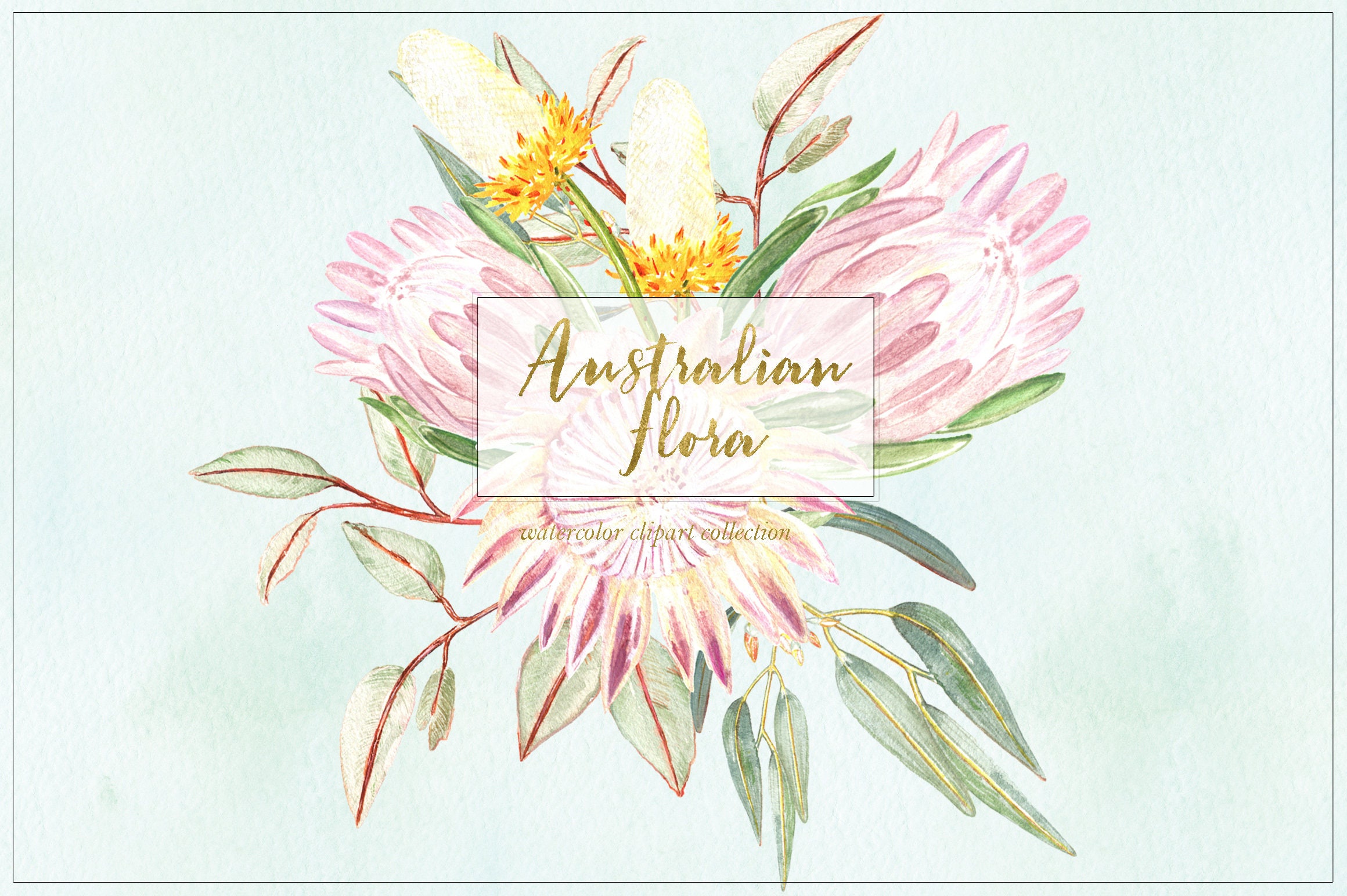 Australian flora. Arrangements wreaths header. Watercolor