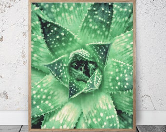 Succulents & Cacti 11 x 14 Screen Print