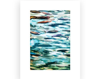 Colorful fish art | Etsy