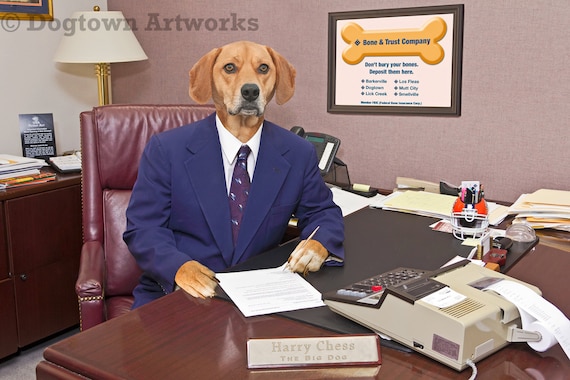 The Banker large original photograph of anthropomorphic