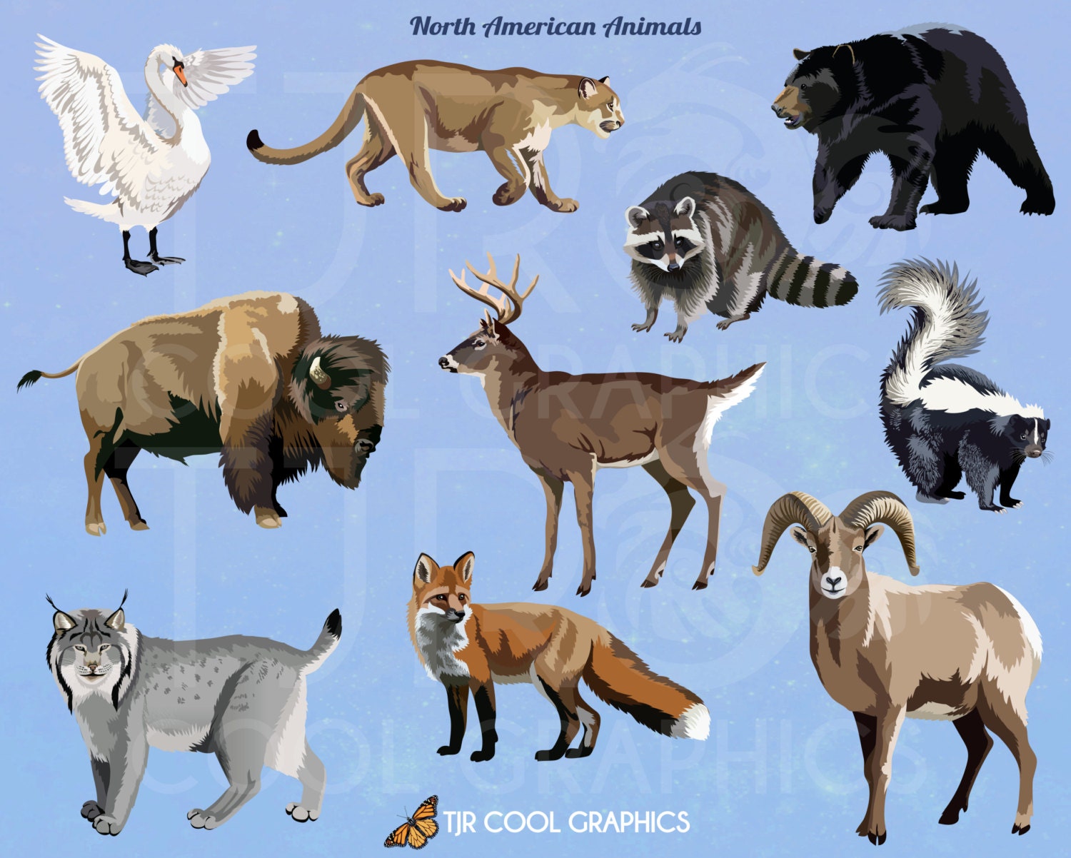North American Animals Digital Realistic Clip Art PNG