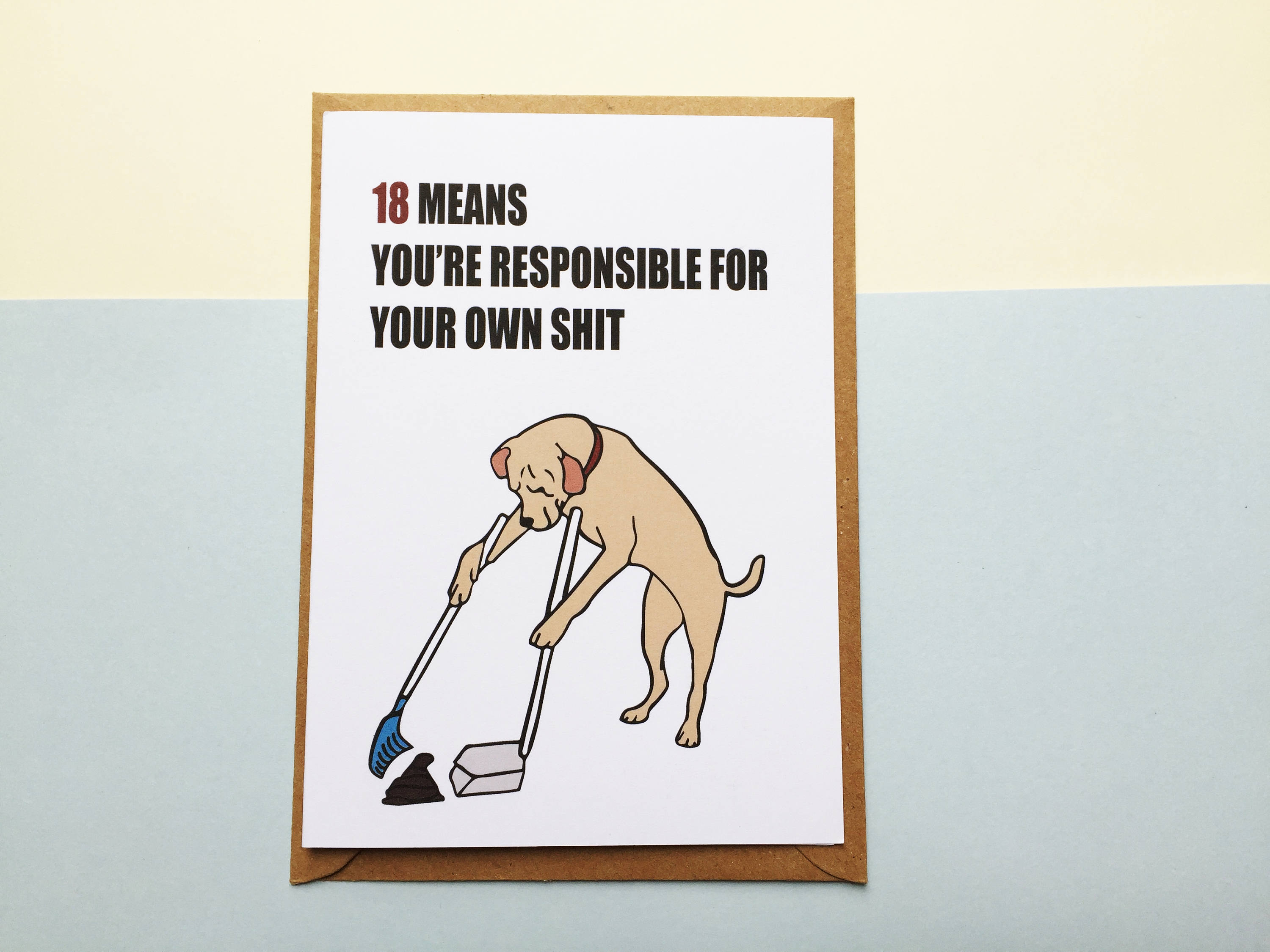 18 Birthday Card 18th Birthday Card Funny Birthday Card